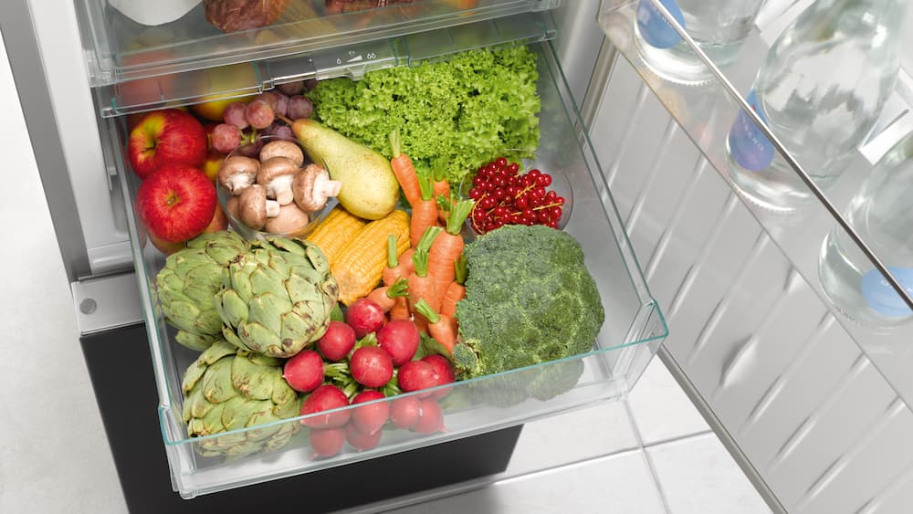 Fridge Freezer Features | Freestanding | Miele